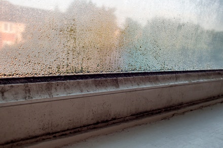 Condensation – SHD Property Care